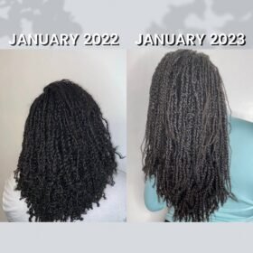 Mini Twists! The Ultimate Style for Retention & Hair Growth ...